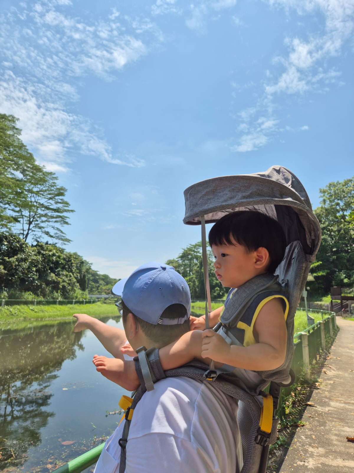 Sales of Shoulder Carriers – Baby Carriers Rental SG - Consultancy ...